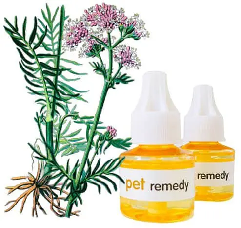 How Pet Remedy Works | Pet Anxiety, Pet Stress, Dog Anxiety